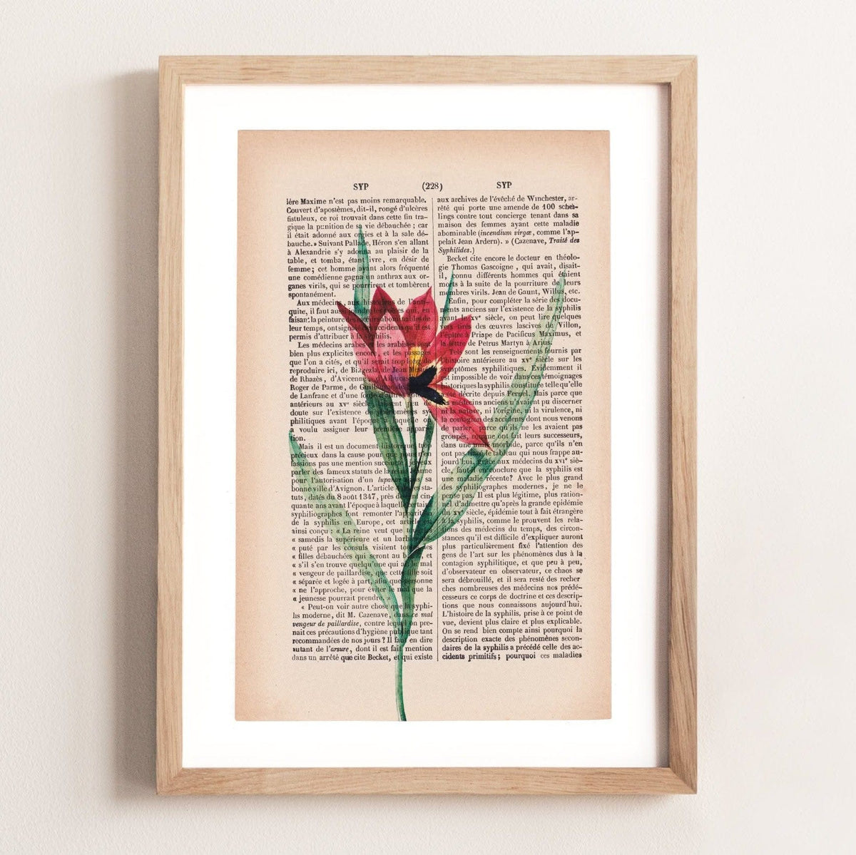 Red Tulip - Vintage Book Page - Flower Art Print - Art on Words