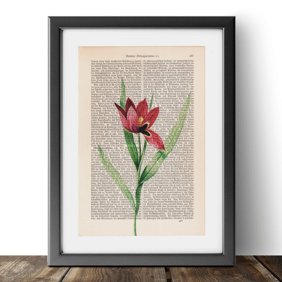 Red Tulip - Vintage Book Page - Flower Art Print - Art on Words